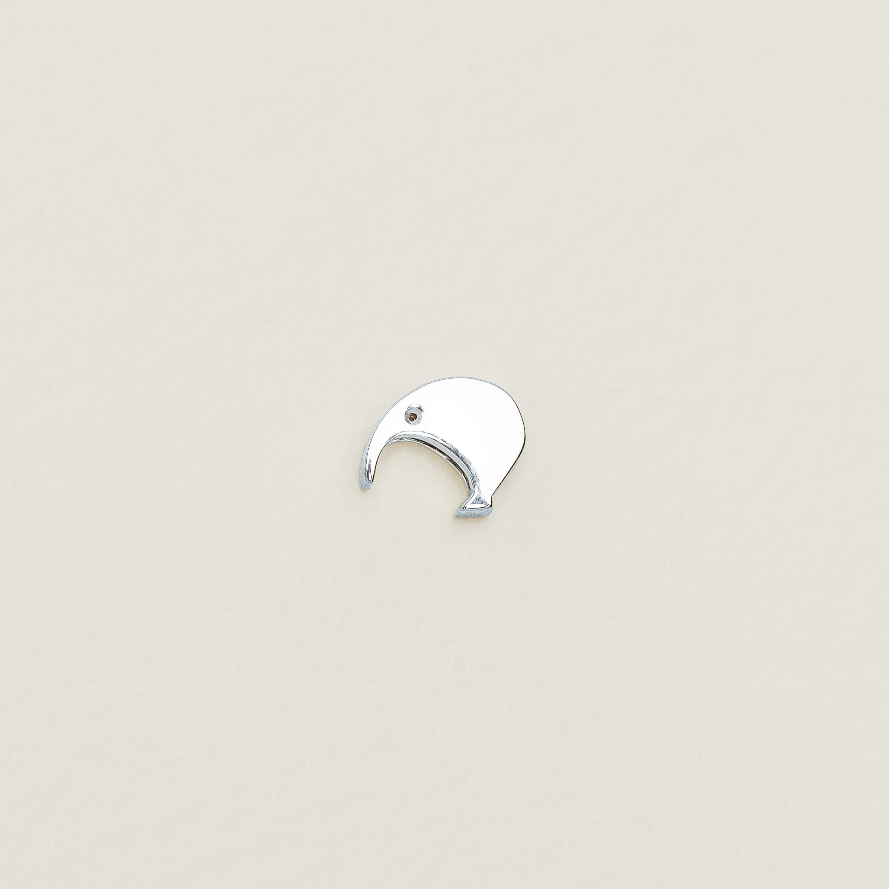 Sterling Silver Noted Kiwi Charm – Walker & Hall Jewellery